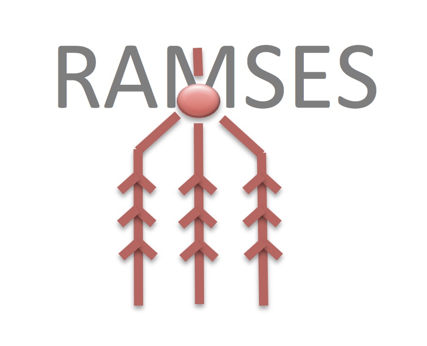 RAMSES – MEM4CSD
